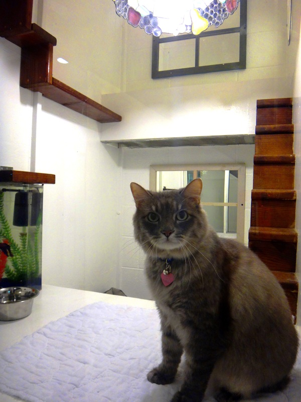 O nás :: faver/menu